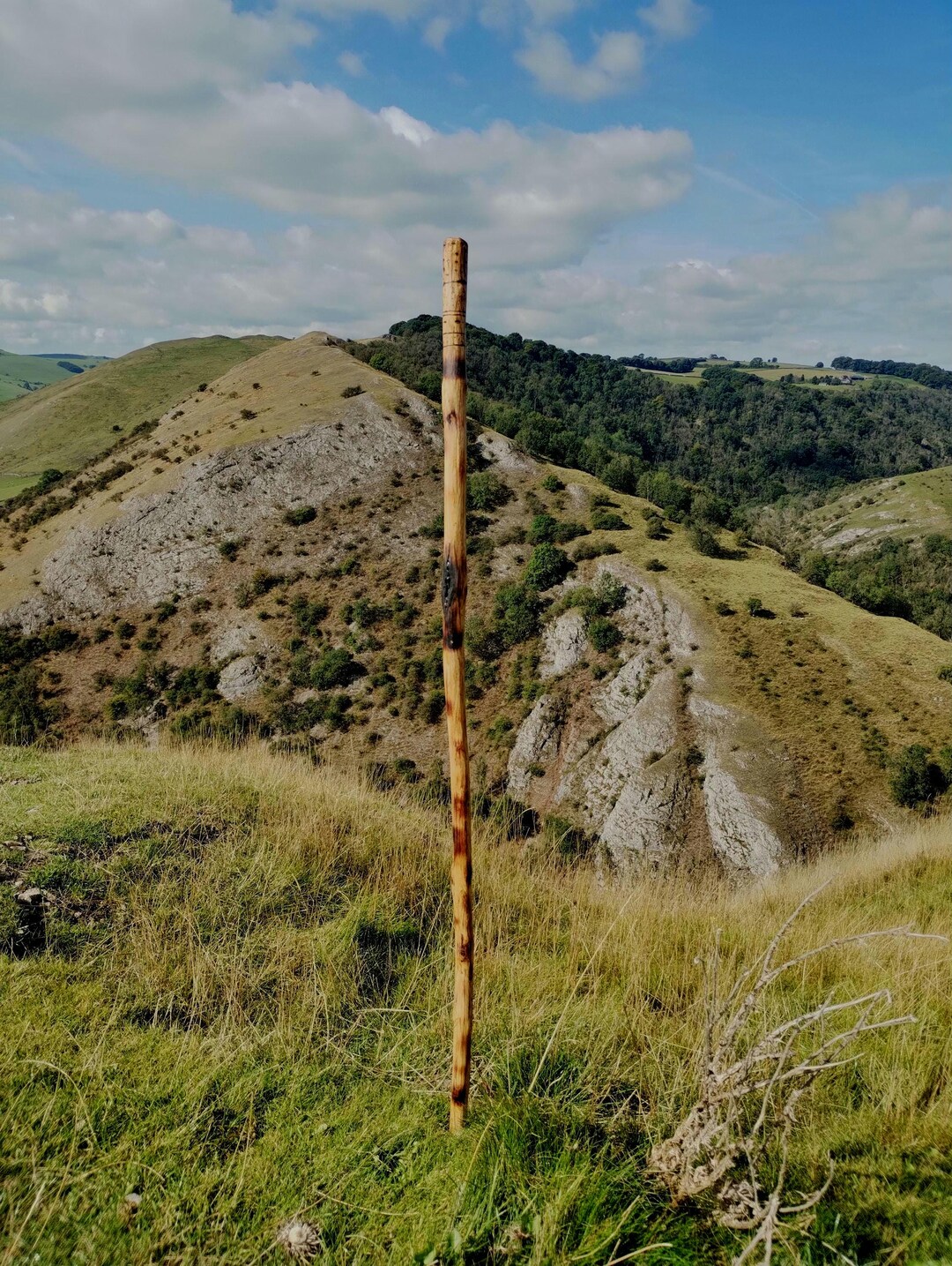 Hand Crafted Walking Stick . Ideal Personalised Gift for the Outdoor ...