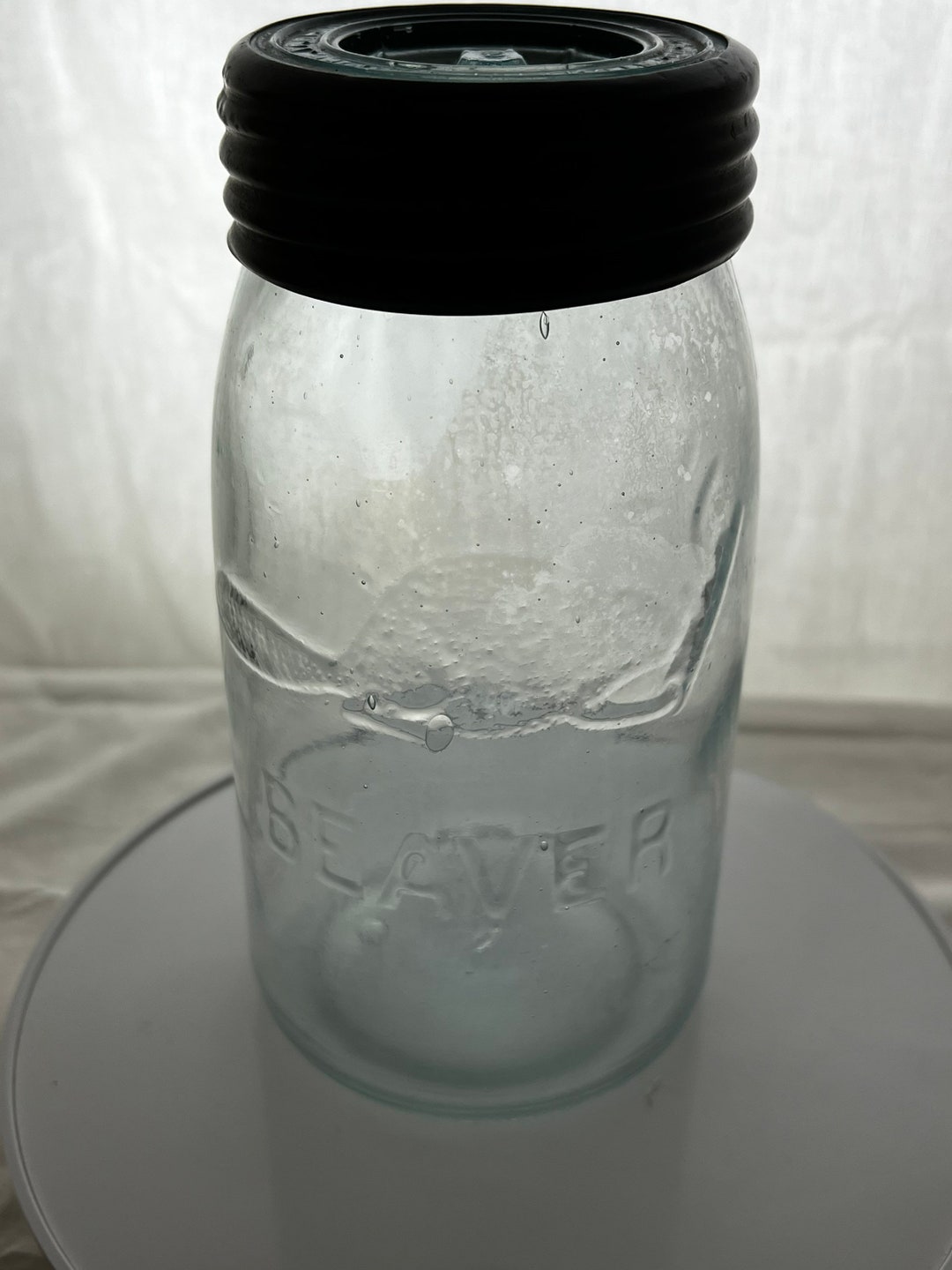 Beaver A Base Mold Fruit Jar, Light Blue Colour - Etsy Canada