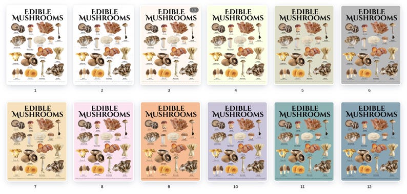 Edible Mushrooms Botanical Poster Set: Kitchen Wall Art - Etsy