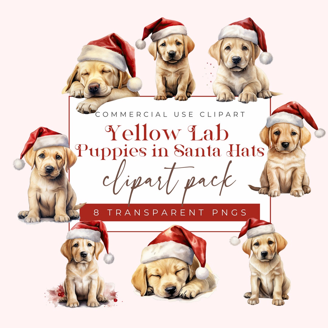 Yellow Labrador Retriever Puppies in Santa Claus Hats Christmas Clipart ...
