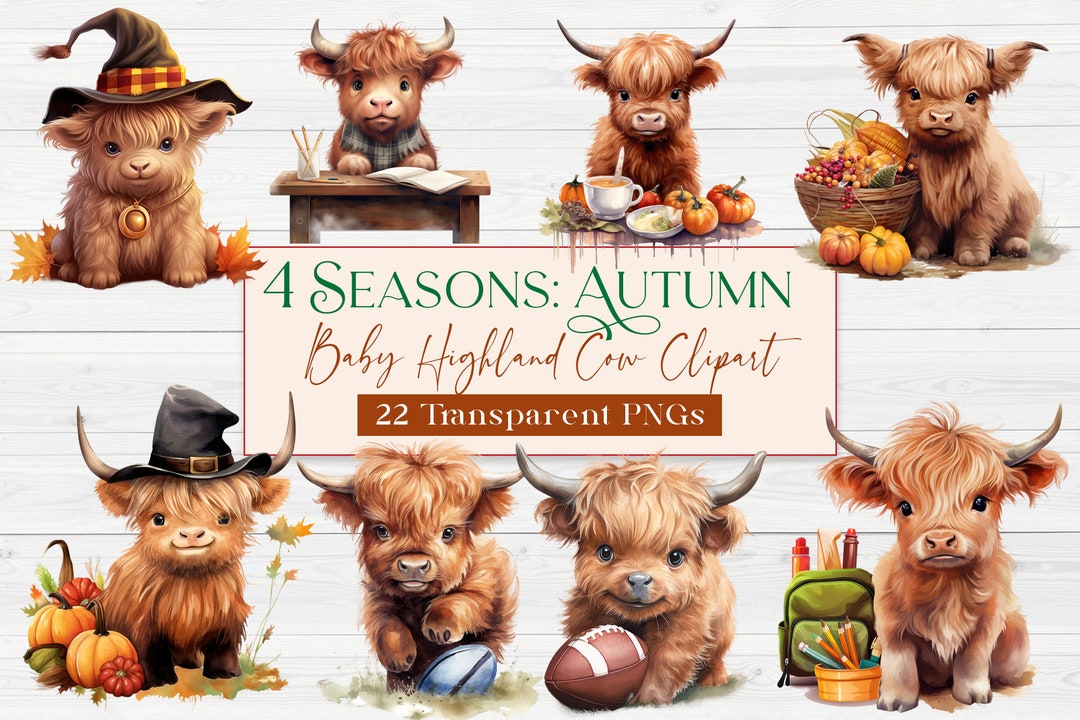 Autumn Baby Highland Cows | Football Cows | Thanksgiving | Halloween ...