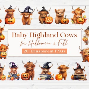 Halloween Baby Highland Cows Watercolor Clipart | Cows in Witch Hats ...