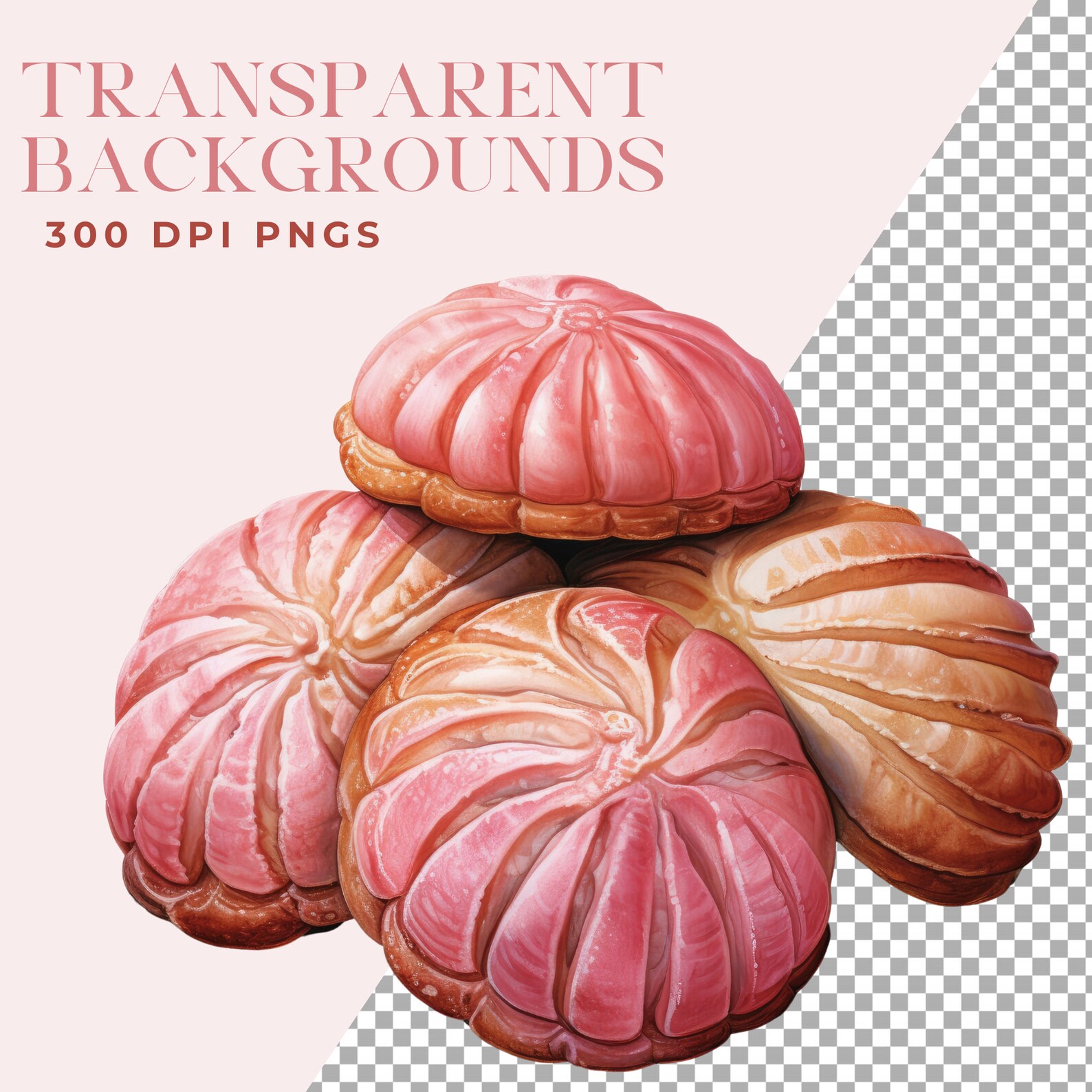 Pan Dulce Clipart | Concha Clipart | Watercolor Concha | Mexican ...