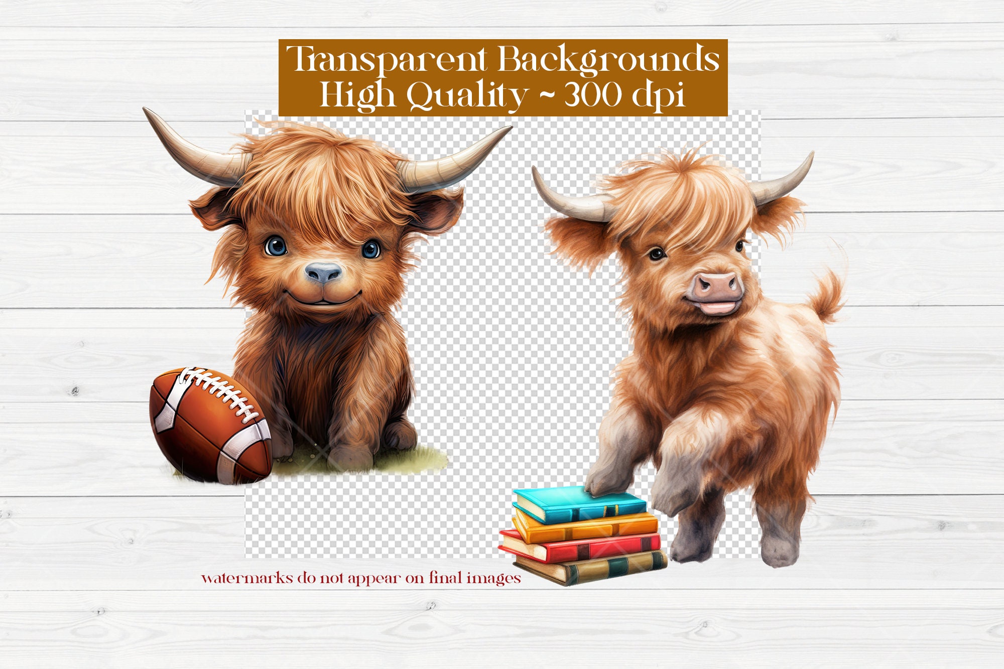 Autumn Baby Highland Cows | Football Cows | Thanksgiving | Halloween ...
