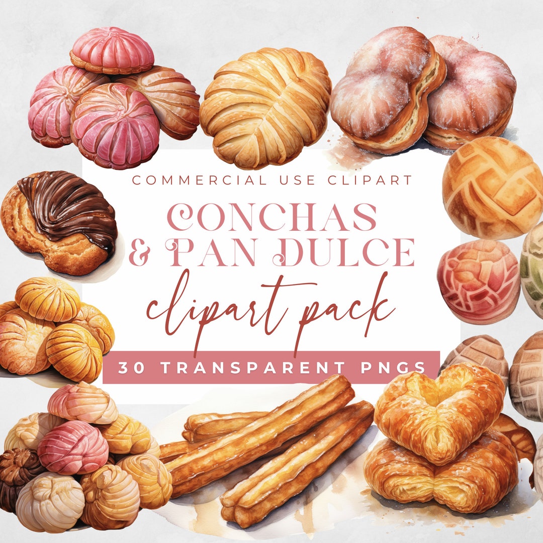 Pan Dulce Clipart | Concha Clipart | Watercolor Concha | Mexican ...