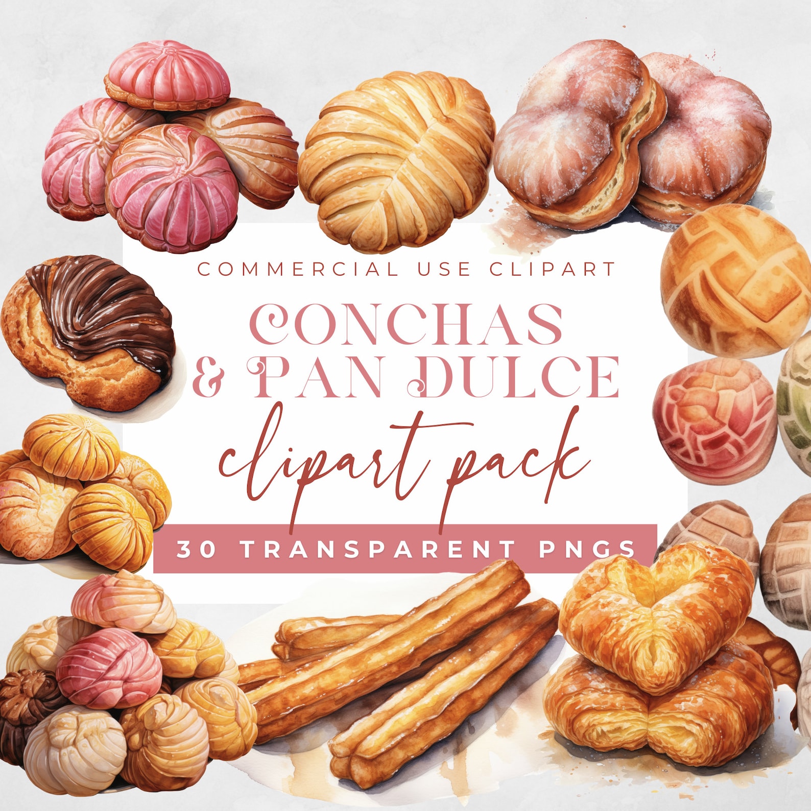Pan Dulce Clipart | Concha Clipart | Watercolor Concha | Mexican ...