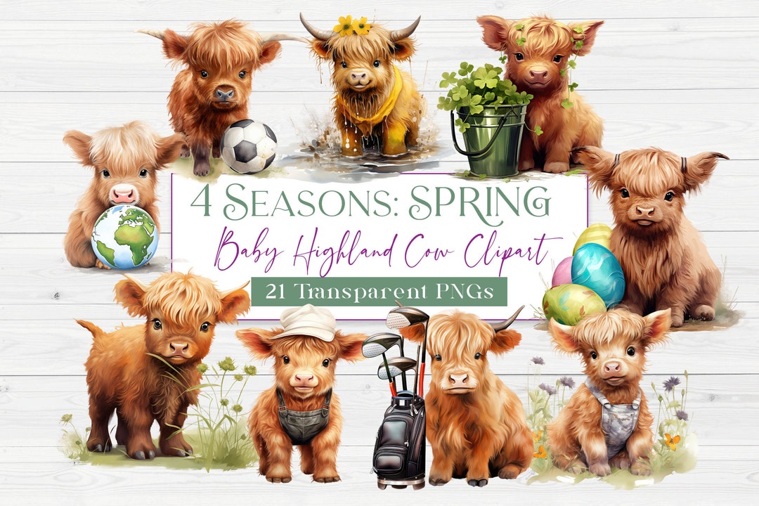 Spring Baby Highland Cows | Easter Cows | St. Patricks Day, Earth Day ...