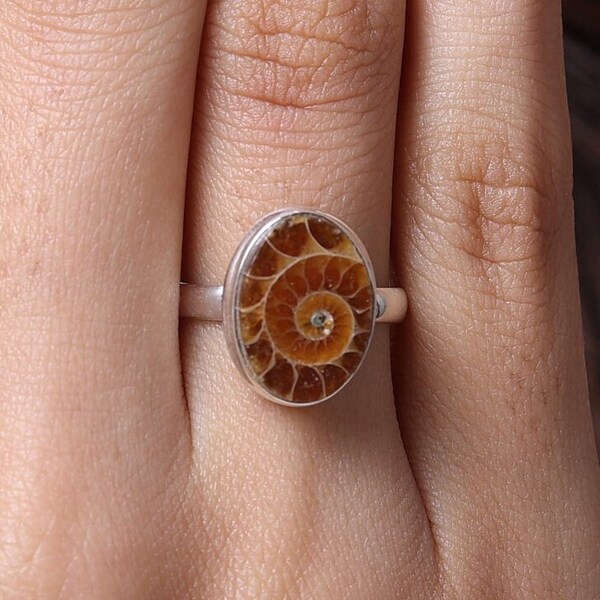 Ammonite Jewelry - Etsy