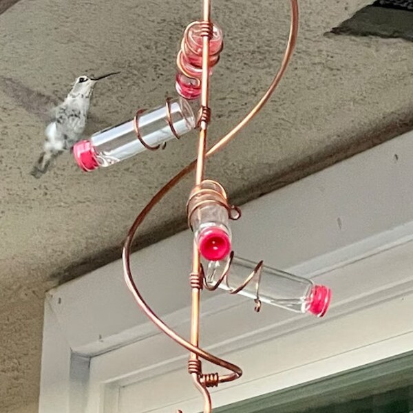 Hummingbird Feeder Tubes - Etsy