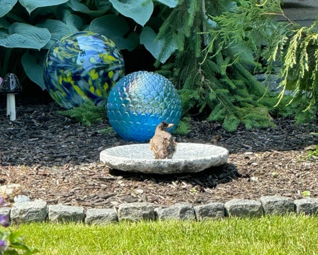 Bird Bath in Great Organic Granite Handcraft River Stone Bird Bath 9 X ...