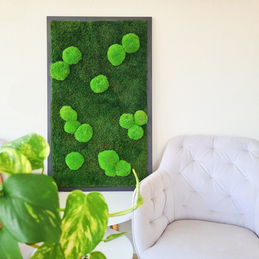 Square Moss Picture With Forest Moss and Ball Moss on - Etsy
