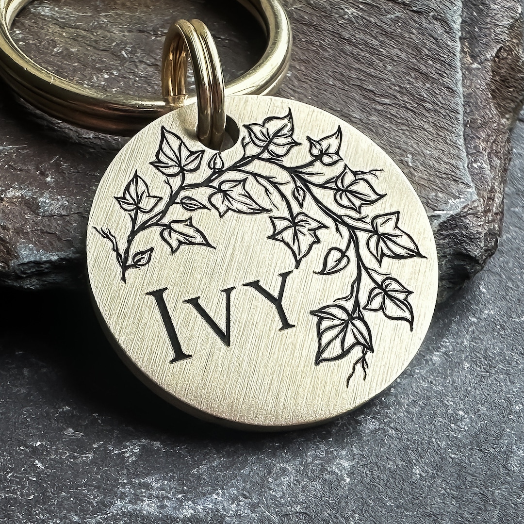 Ivy Dog Tag, Personalised Engraved Chunky Pet ID Tags for Dog Collar ...