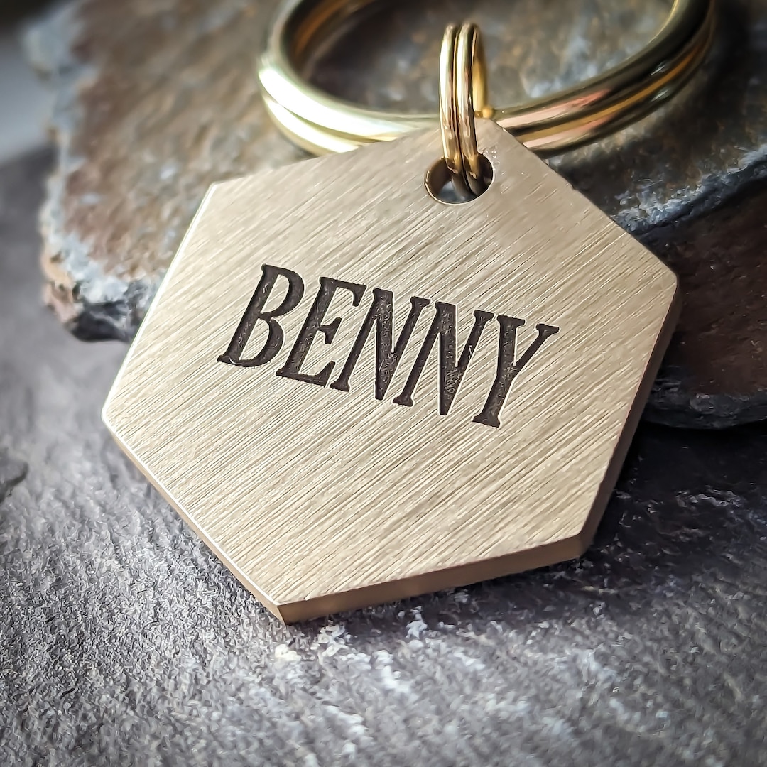 Solid Chunky Dog Name Tag, Plain Pet ID Tag, Solid Brass Charm for Dog ...