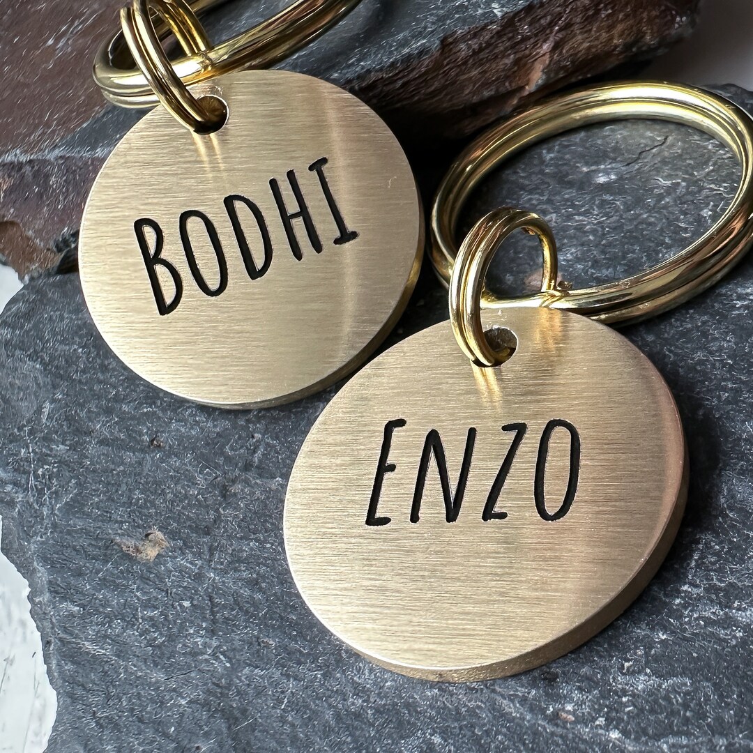 Solid Chunky Dog Name Tag, Plain Brass or Stainless Steel Dog Collar ...