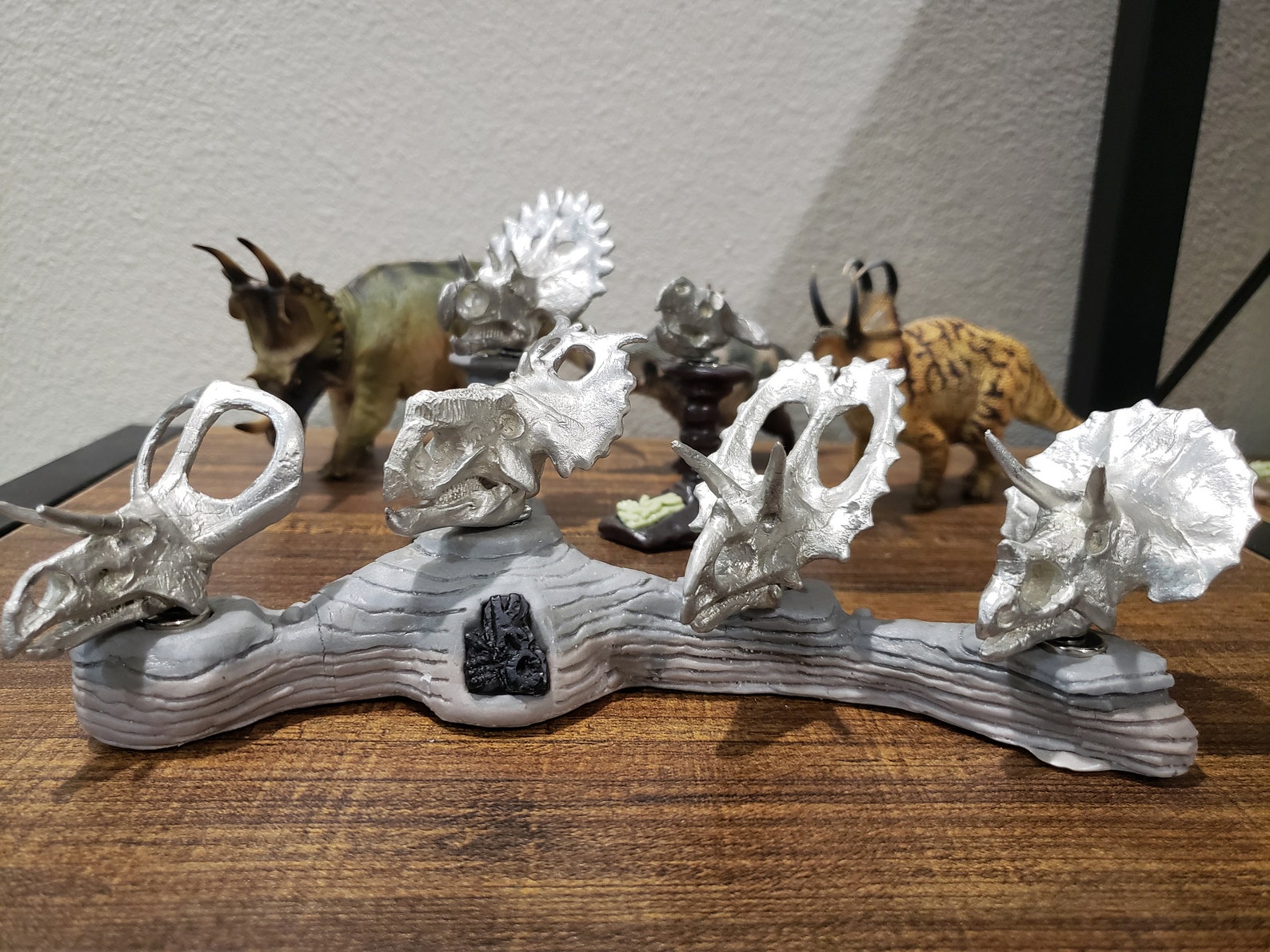 4 Ceratopsian Skulls on a Display/stand - Etsy