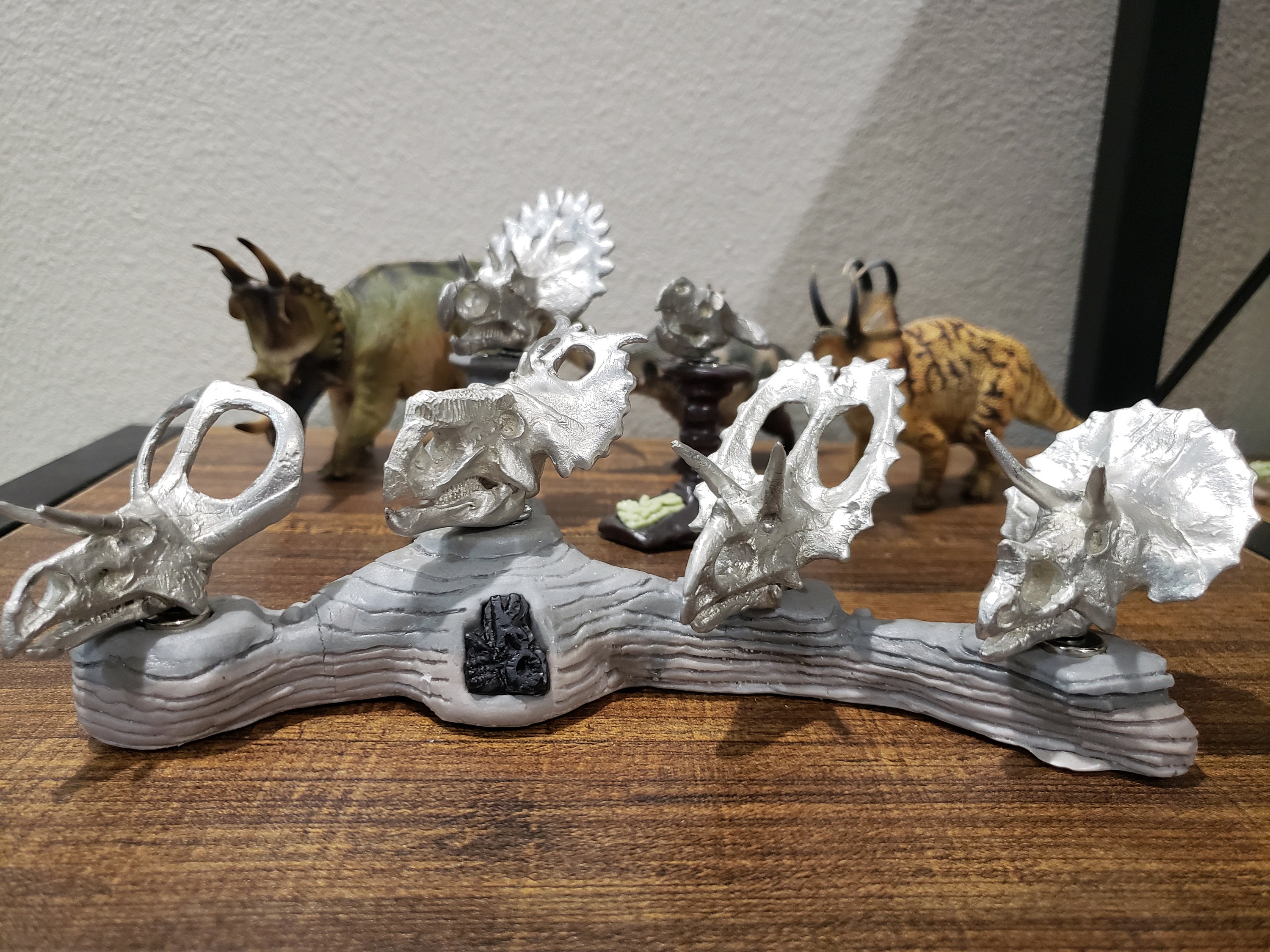 4 Ceratopsian Skulls on a Display/stand - Etsy