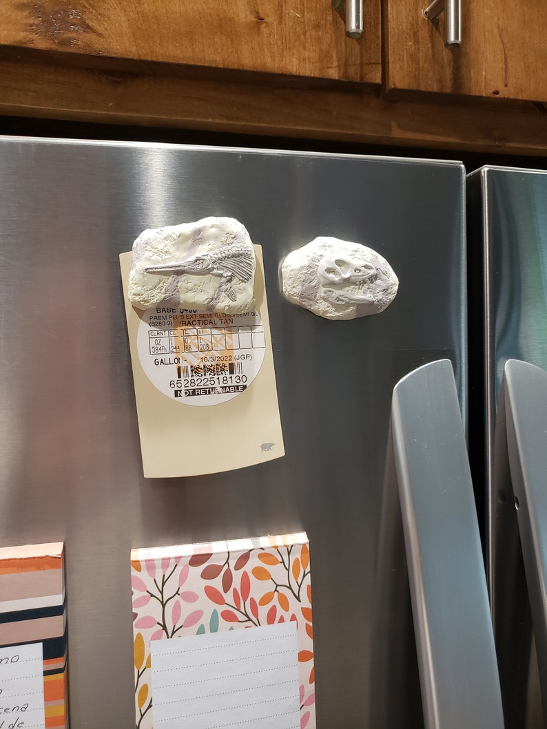 Fossil Refrigerator Magnets, Set of 4 - Etsy