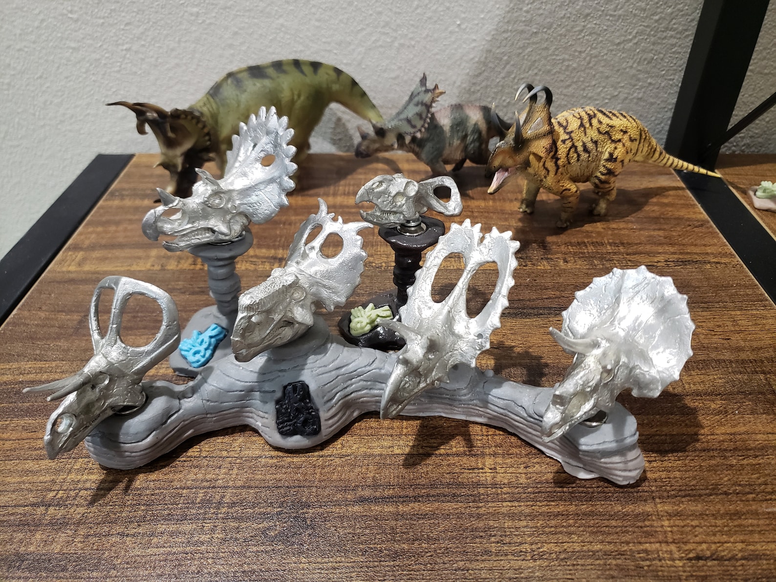 4 Ceratopsian Skulls on a Display/stand - Etsy