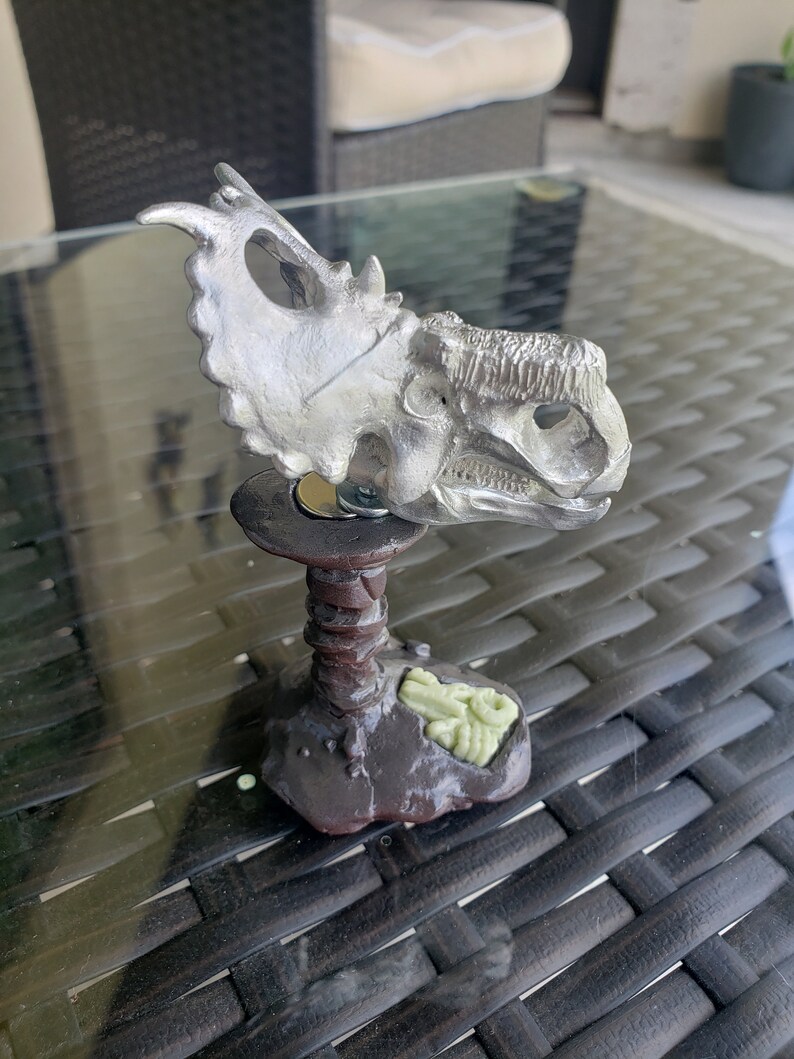 4 Ceratopsian Skulls on a Display/stand - Etsy