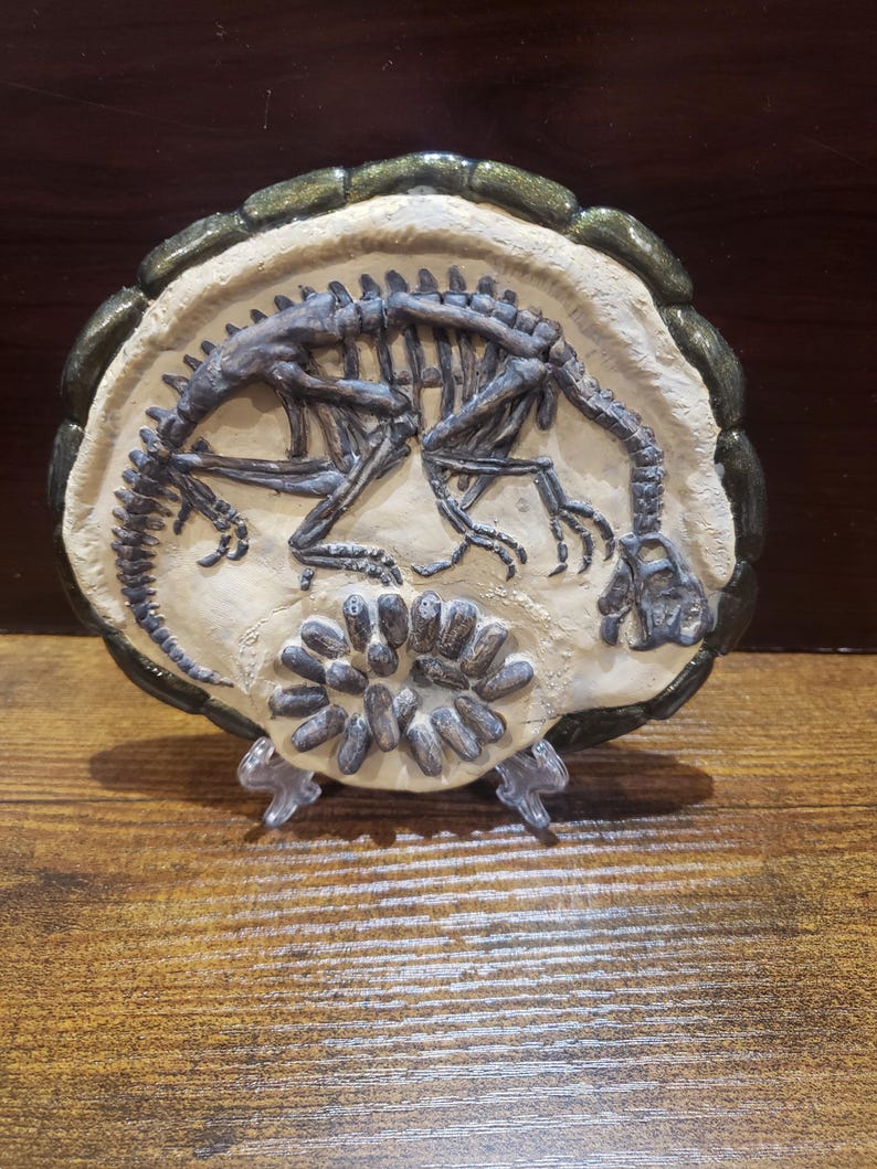 Oviraptor Fossil Display - Etsy