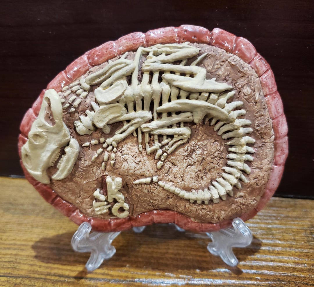 Protoceratops Fossil - Etsy