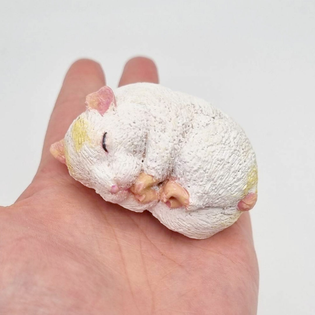 PET MEMORIAL PORTRAIT// Pet Ash Keepsake, Resin Hamster Portrait ...