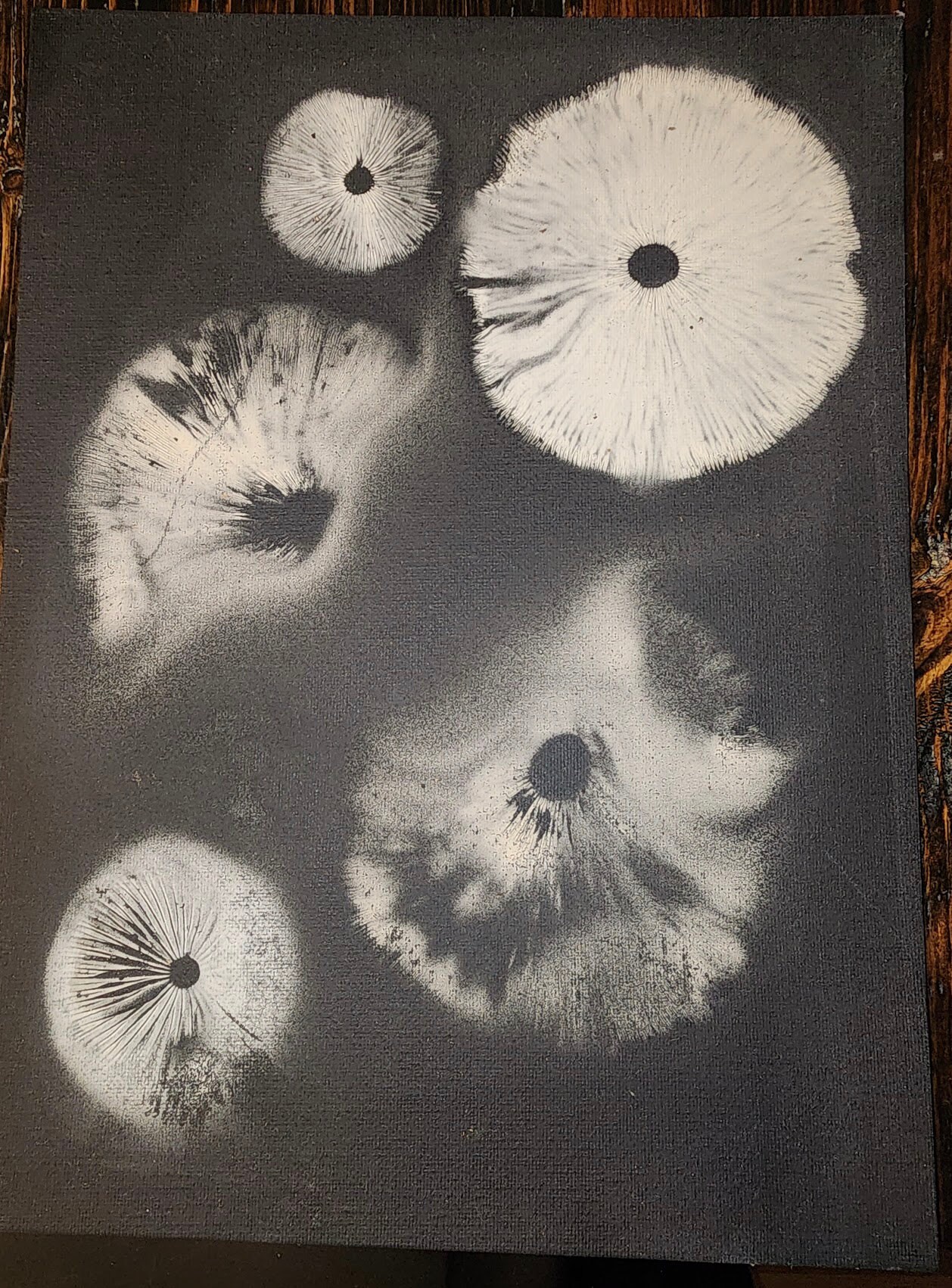 Spore Prints on Black Canvas - Etsy