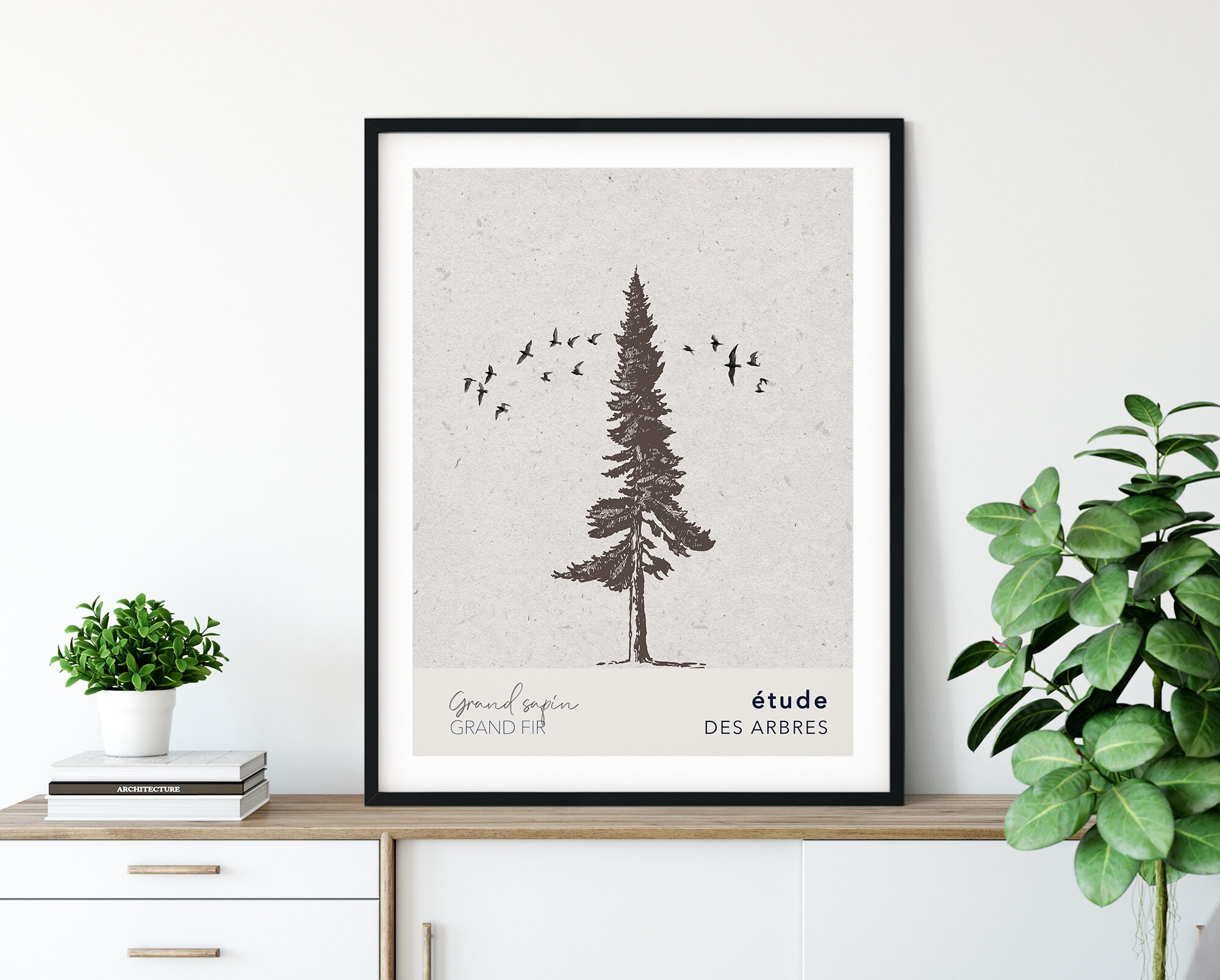 Grand Fir, Tree Print, French Tree Poster, French Botany, Study of ...