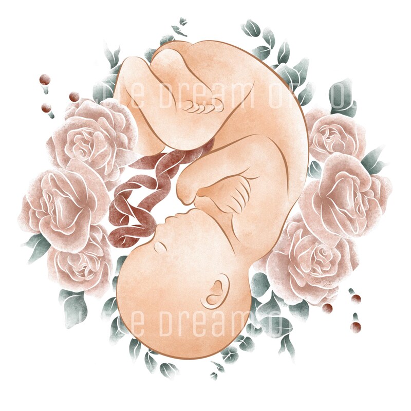 Fetus Art - Etsy