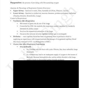 Fundamentals Nursing Notes - Kingsborough NUR 18 - Etsy