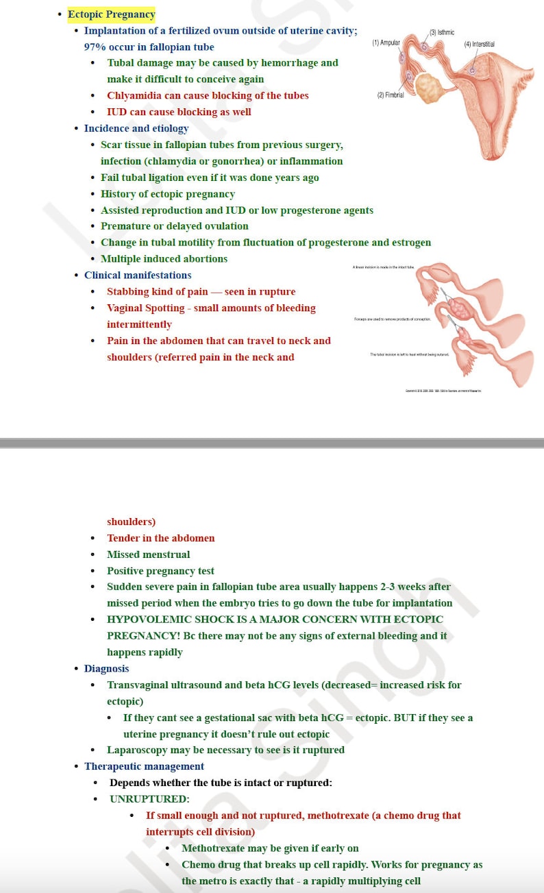Maternity Nursing Notes/study Guides - Foundations of Maternal-newborn ...