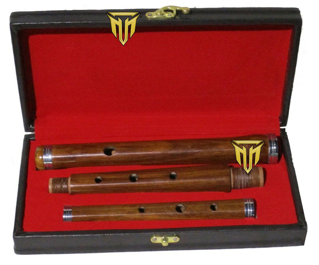 AAEXPO New Irish Professional Tunable D Flute With Hard Case 23" Length ...