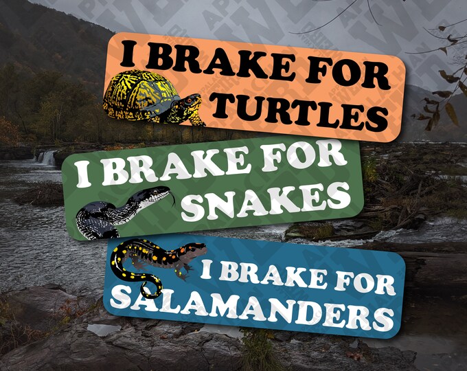 Vortex Snakes Iron on Patch // Large Back Patch // Snake Patches// Iron on // Gift Ideas ...