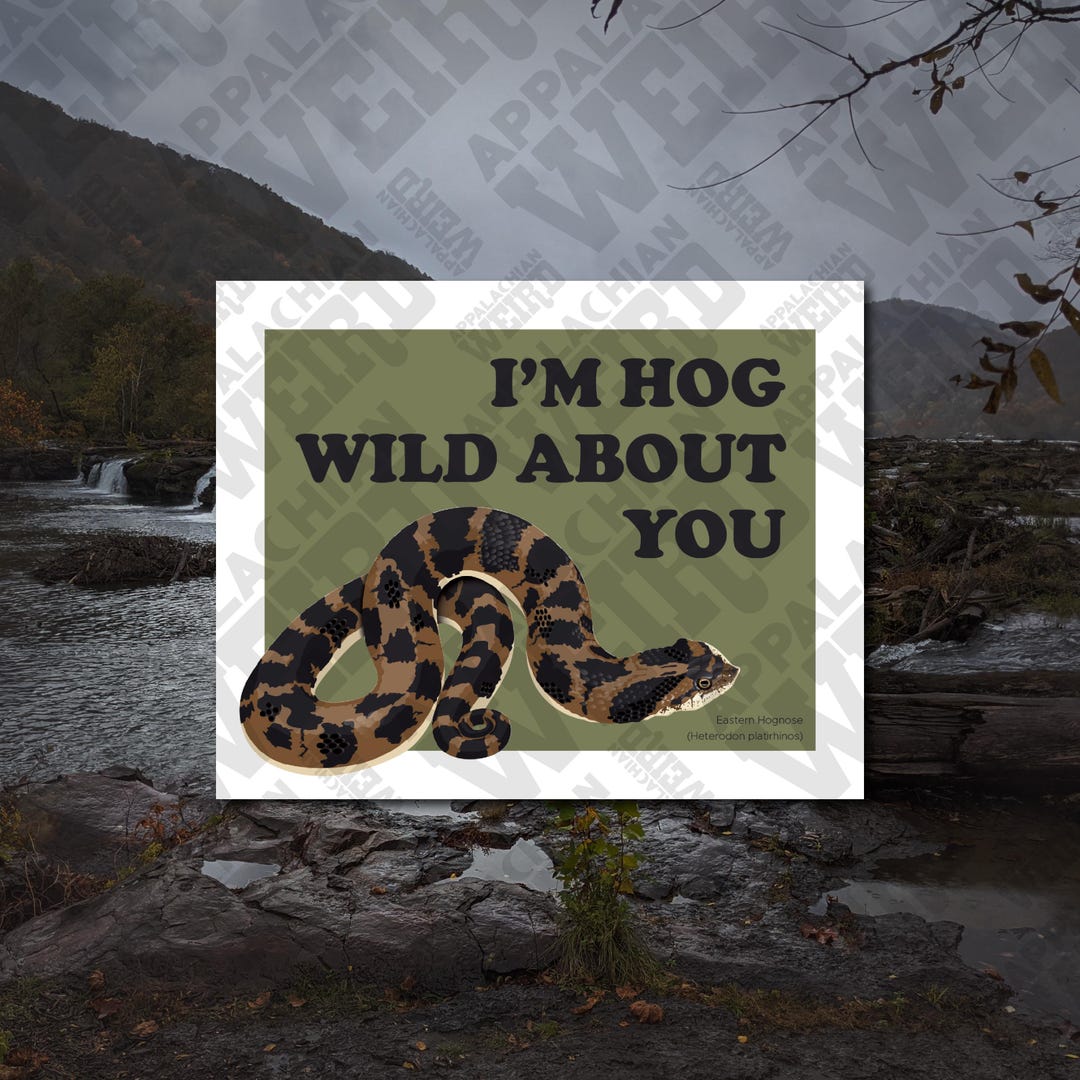 I'm Hog Wild About You Greeting Card - Etsy