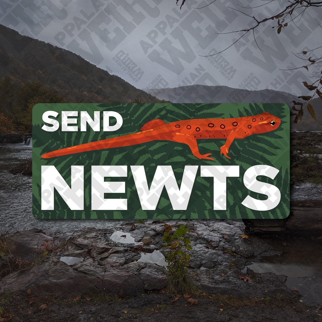 Send Newts Vinyl Decal - Etsy