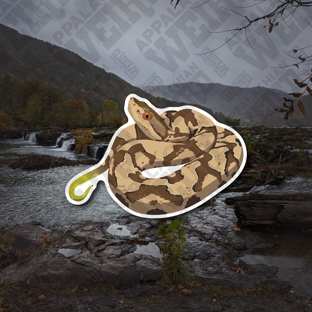 Juvenile Copperhead (agkistrodon Contortrix) Vinyl Decal - Etsy