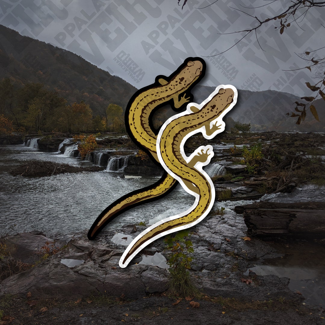 Two-lined Salamander Vinyl Decal - Etsy