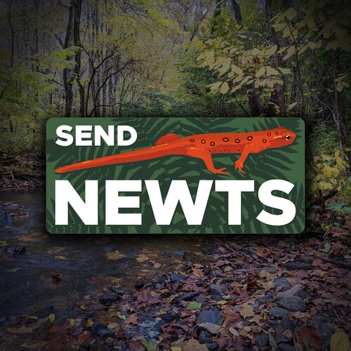SEND NEWTS Ecology Meme Vinyl Sticker Herpetology - Etsy