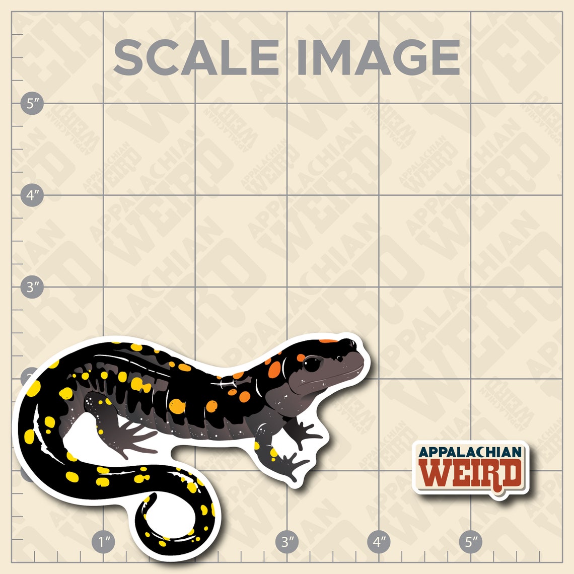 Spotted Salamander Vinyl Decal - Etsy
