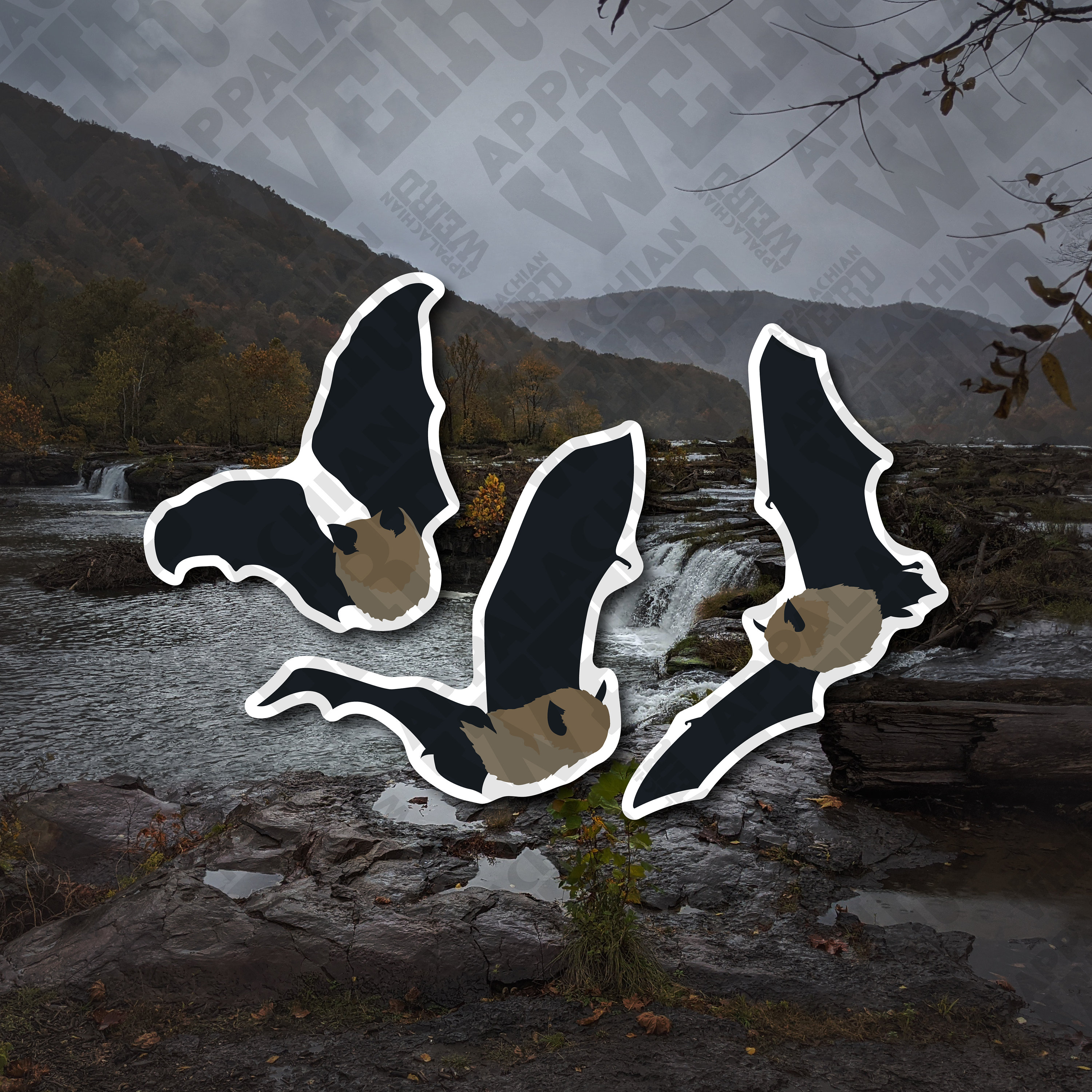 Little Brown Bats Vinyl Decal - Etsy