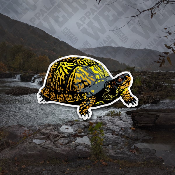 Turtle Decal - Etsy