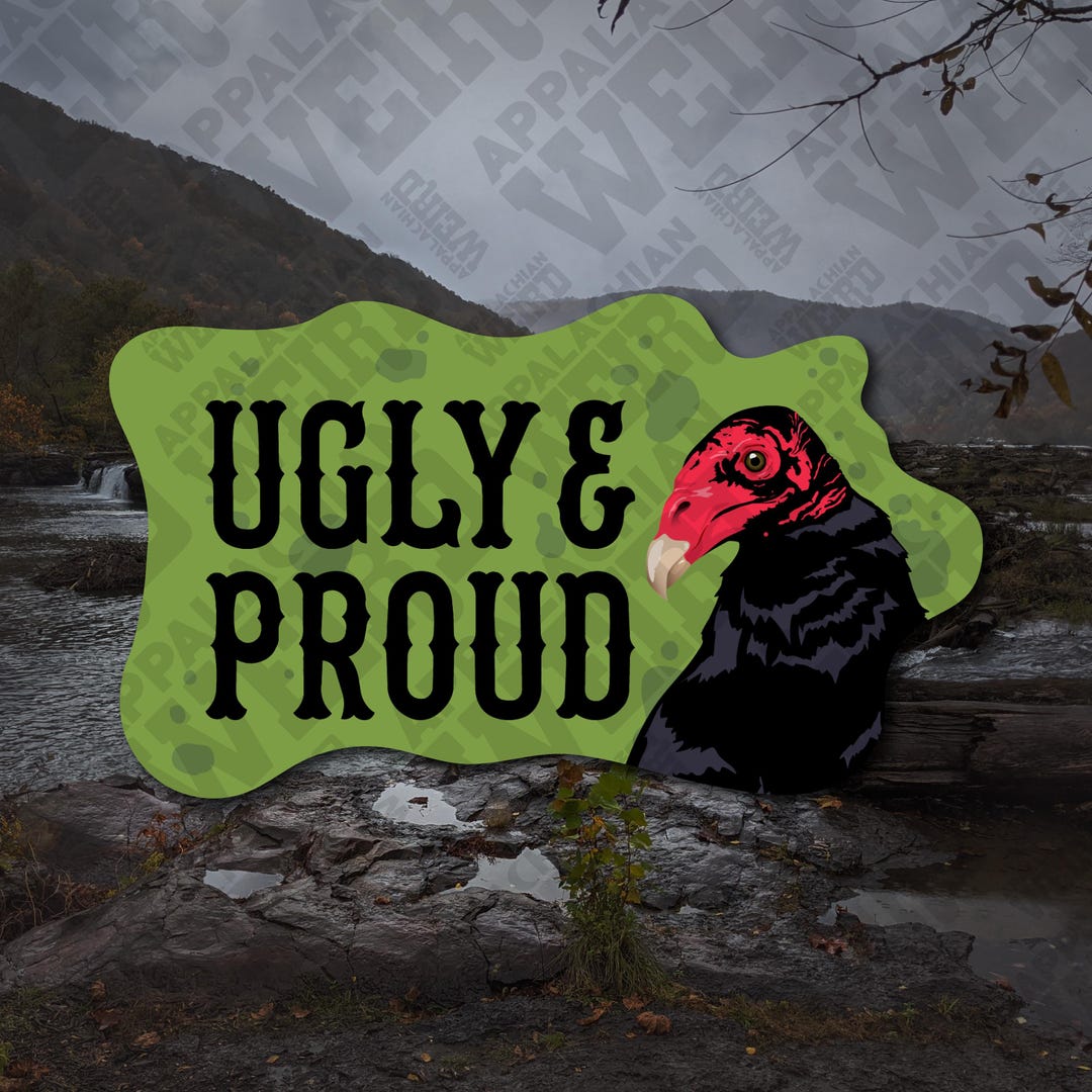 Ugly & Proud Turkey Vulture (cathartes Aura) Vinyl Decal - Etsy