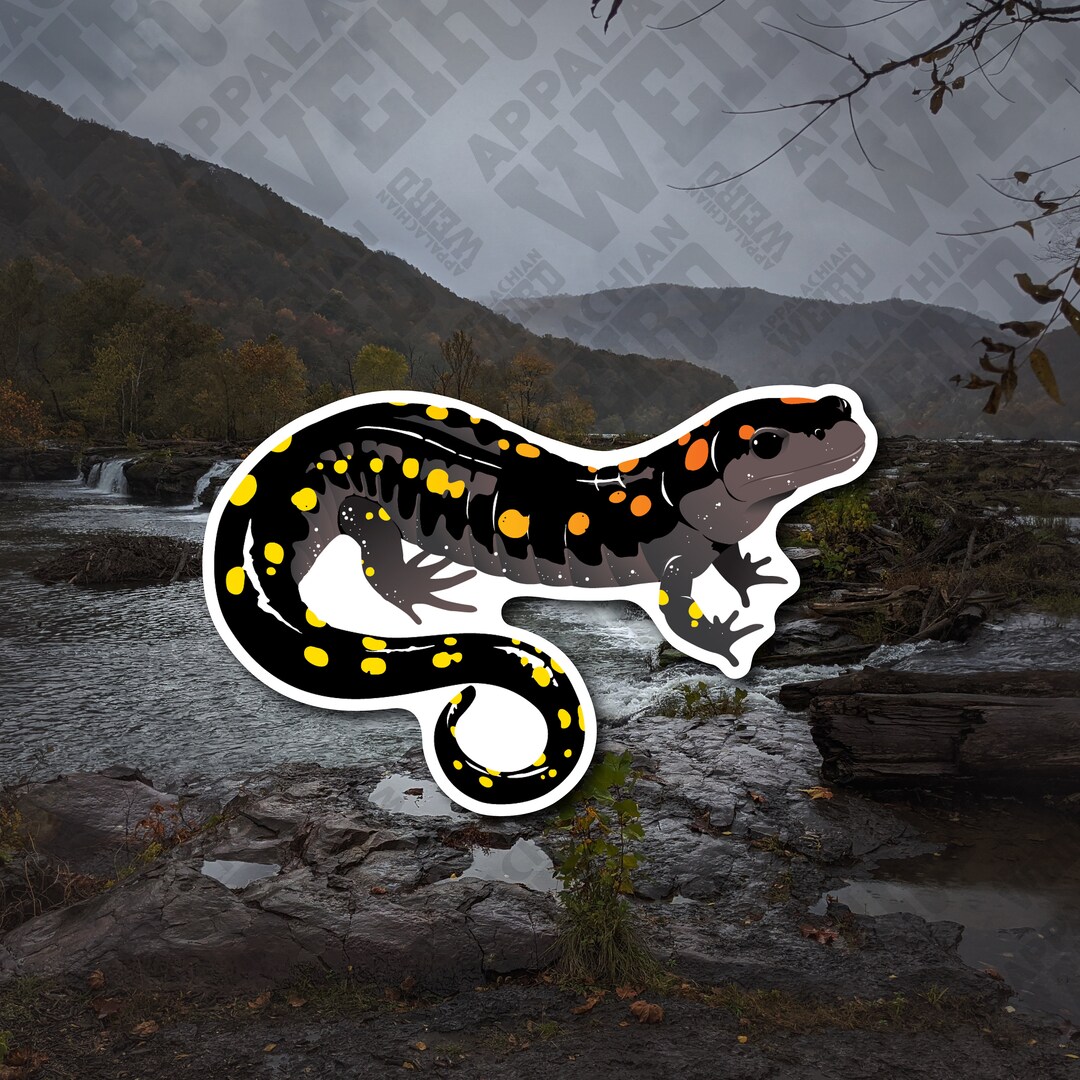 Spotted Salamander Vinyl Decal - Etsy