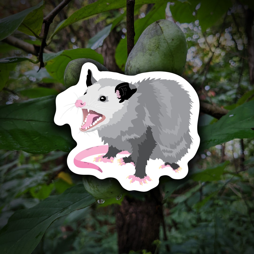 Virginia Opossum Vinyl Decal - Etsy