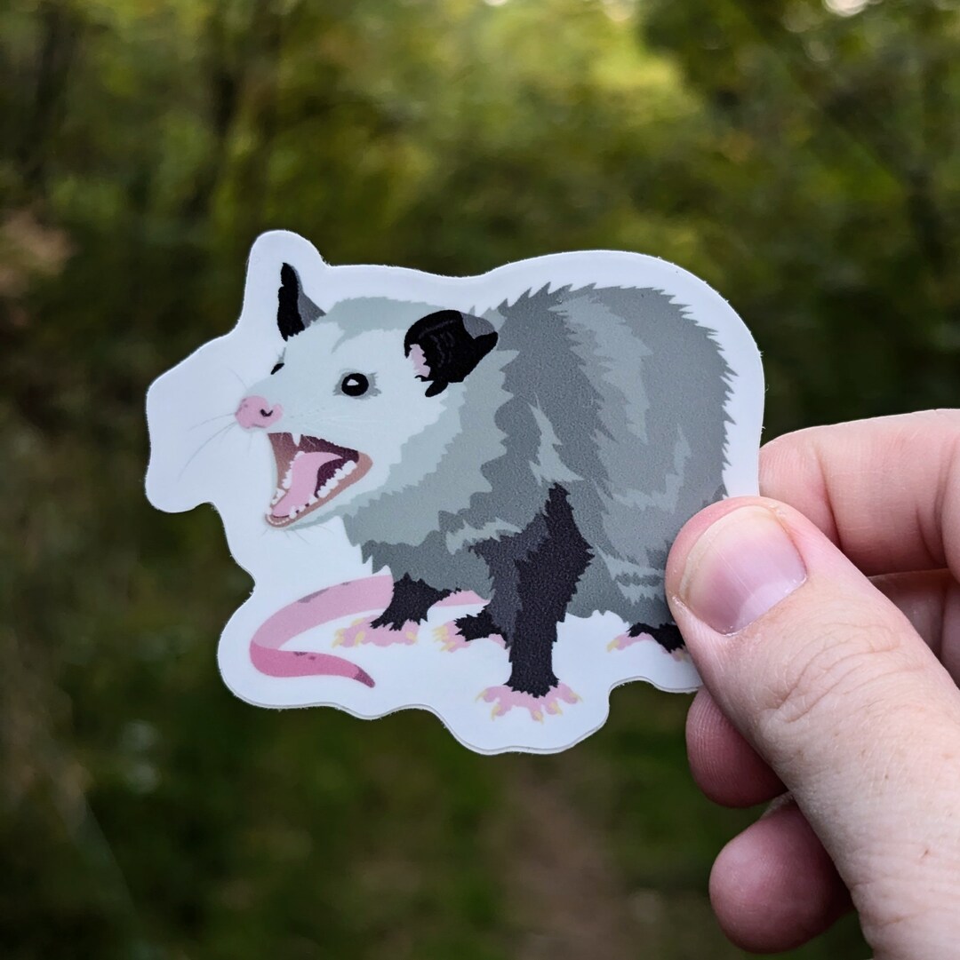 Virginia Opossum Vinyl Decal - Etsy