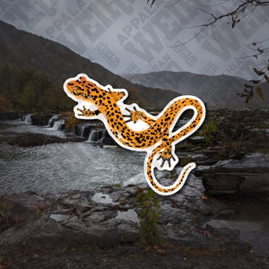 Cave Salamander (eurycea Lucifuga) Vinyl Decal - Etsy