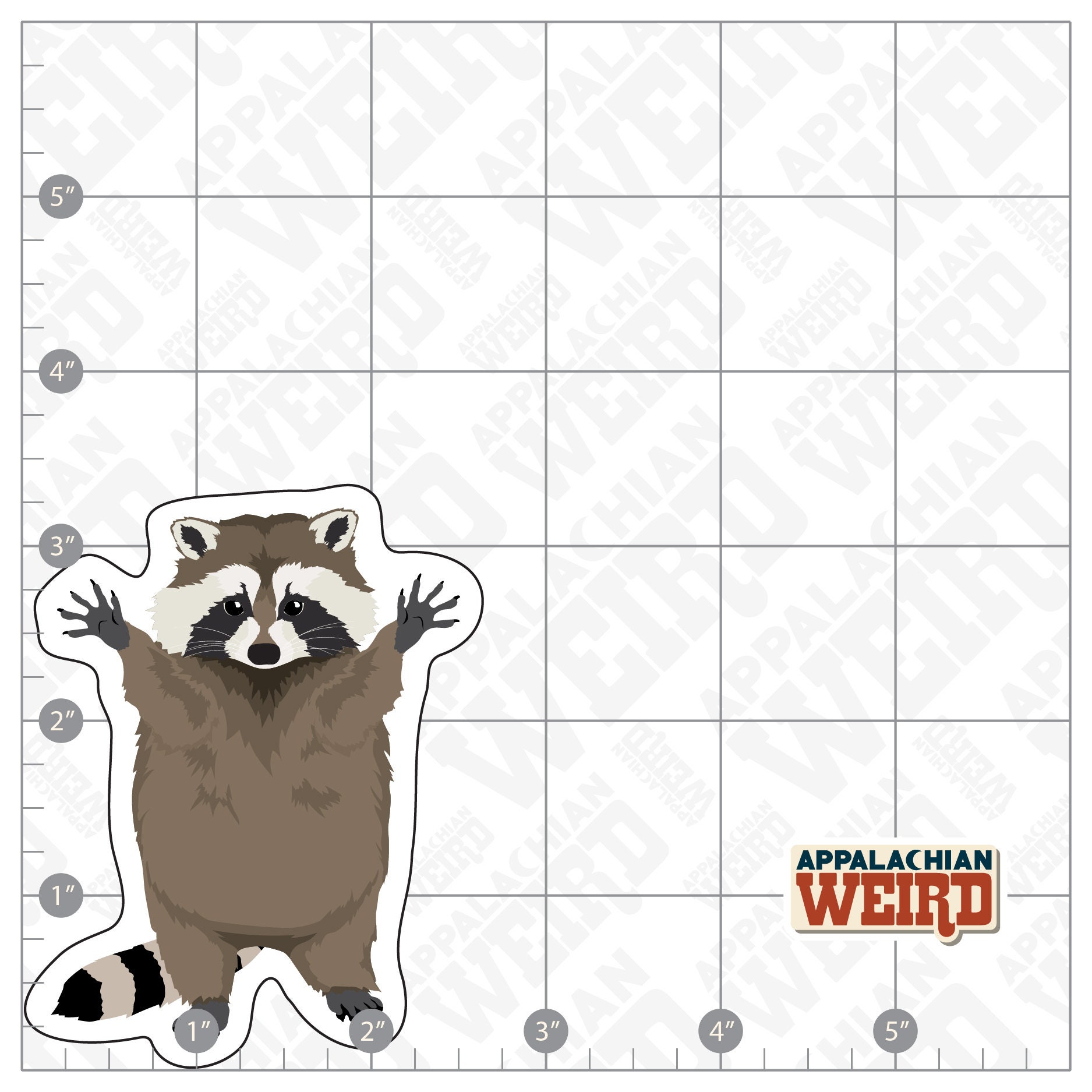 Raccoon Vinyl Decal - Etsy