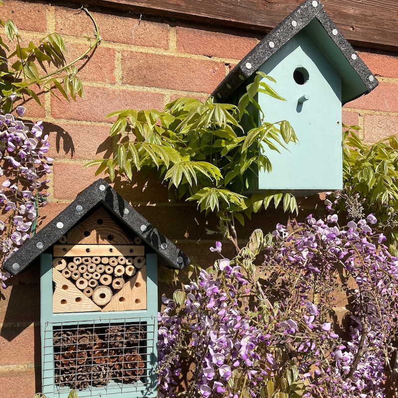Bird Box - Etsy UK