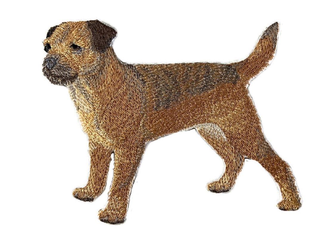 Custom Dog Portrait [border Terrier] Embroidery Iron On/sew Patch [5" X ...
