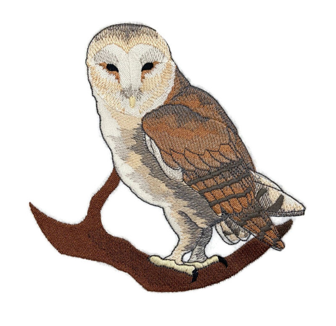 Beyond Vision Custom Birds [barn Owl] Embroidered Iron On/sew Patch [6. ...